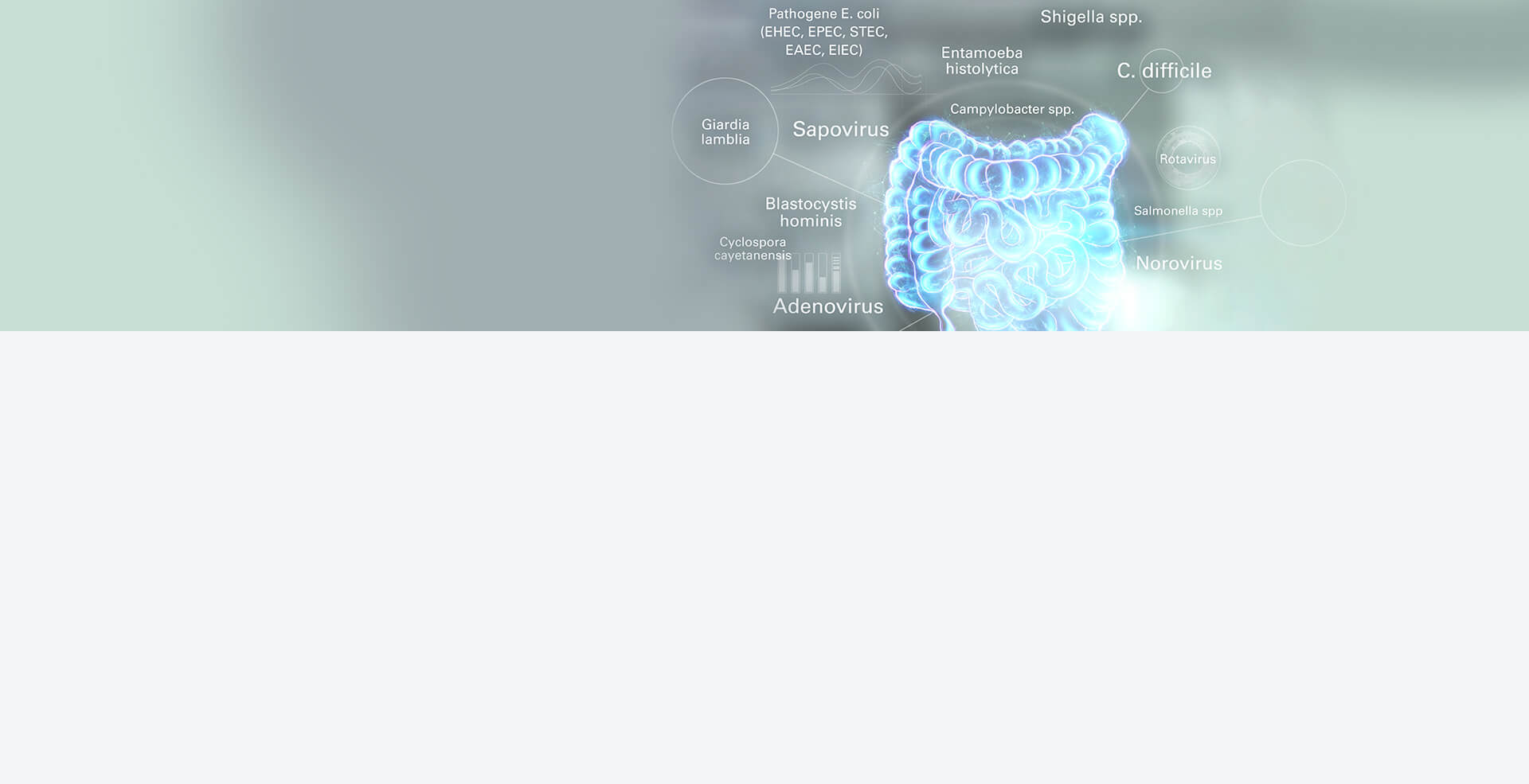 Schneller und umfassender Nachweis infektiöser Gastroenteritiserreger ...