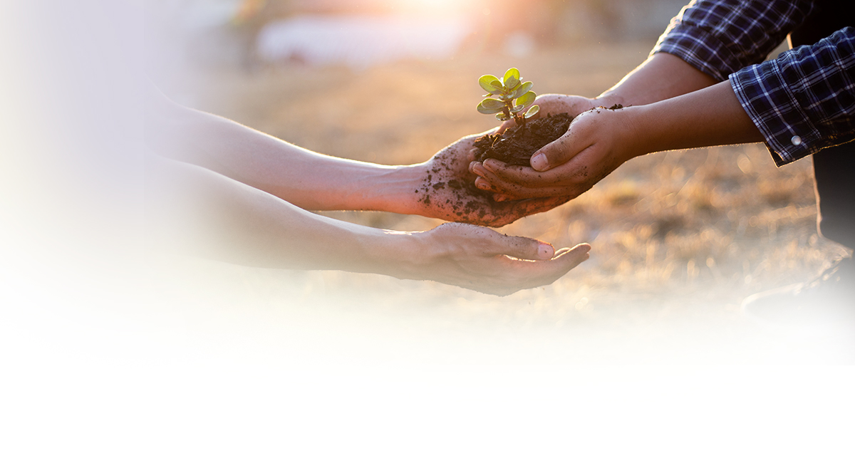 Self-conception | Laboratory Diagnostics